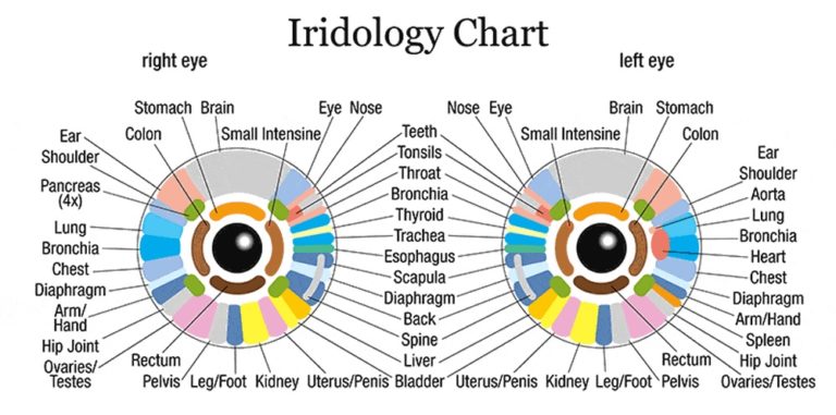 Qu'est-ce que l'iridologie ? | Ma belle santé